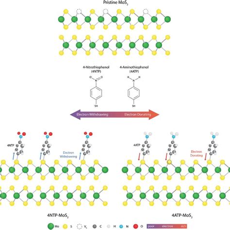 Thiol‐based Functionalization Intrinsic Mos2 Possesses Inherent Sulfur