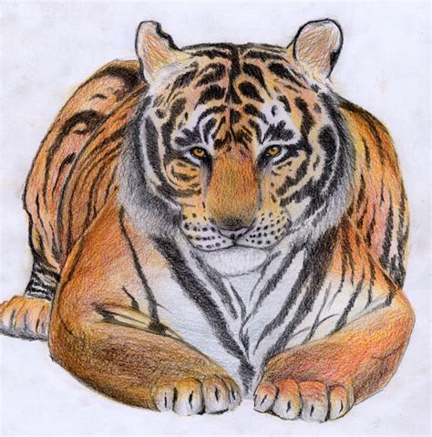 Tiger By Kumi Wolf On Deviantart