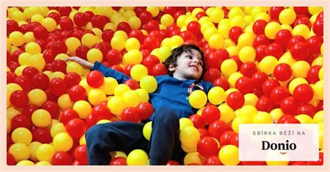 Anna Vanová On Linkedin Delfínoterapie Pro Sebíka