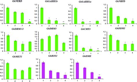Relative Expression Of Dna Methylation Associated Genes At The Four