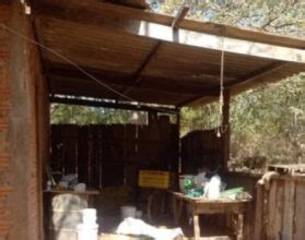 Mãe dar surra em filha por se envolver homens casado veja vídeo Olho Vivo Mato Grosso