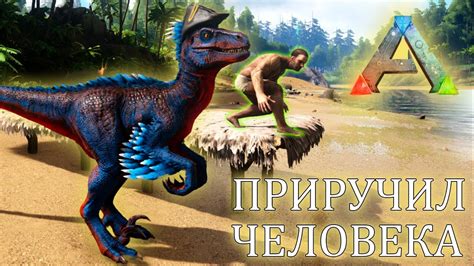 Играю РАПТОРОМ Ark Survival Evolved кооп Раптор Человек Youtube