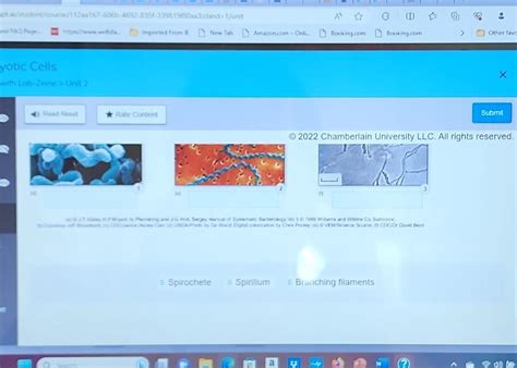 [solved] 2022 Chamberlain University Llc All Rights R