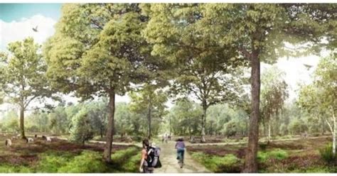 Grootste Bos Van Oost Vlaanderen Krijgt Opknapbeurt Lees Radio2
