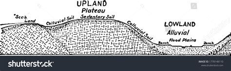 Diagram Showing Genetic Relations Different Soil Stock Vector Royalty Free