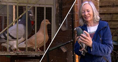 Juliette Moet Afscheid Nemen Van Haar Duiven Door Allergie
