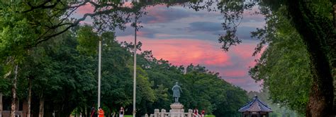 吕志跃团队揭示天然免疫传感器zbp1通过调控巨噬细胞炎症表型介导广州管圆线虫感染所致的中枢神经系统炎症 中山大学 Sun Yat Sen University