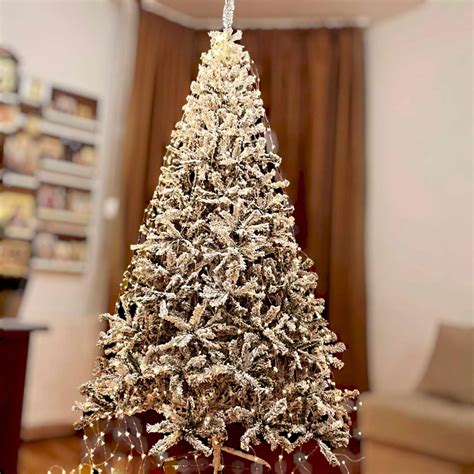 ნაძვის ხე 180სმ Hola Ge