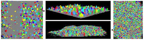 Performance Of Individual Tree Segmentation Algorithms In Forest Ecosystems Using Uav Lidar Data