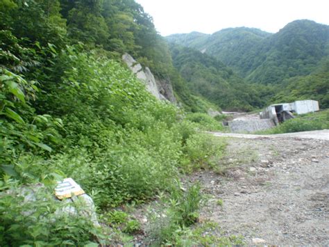 大猫猫又山 toyama rouzan s blog