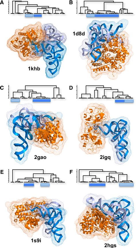 Figure 4 From Discovering Rna Protein Interactome By Using Chemical