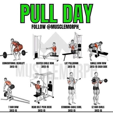 Pull Day Workout Pull Day Workout Gym Workouts For Men Workout