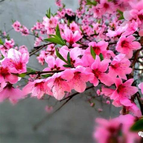 商洛晴好天气持续“在线”，最高气温将达18℃！预报是一种新闻网
