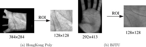 figure 1 from mean and standard deviation as features for palmprint