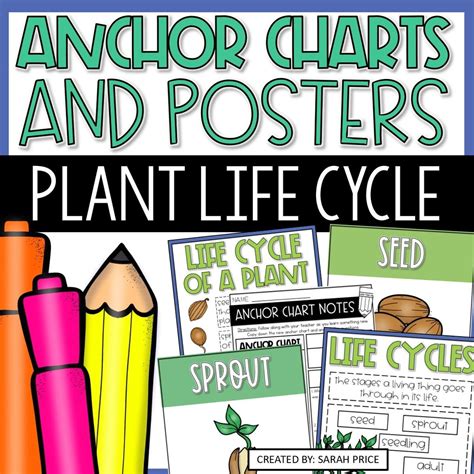 Life Cycle Of A Plant Anchor Charts 2nd 3rd Grade Life Science