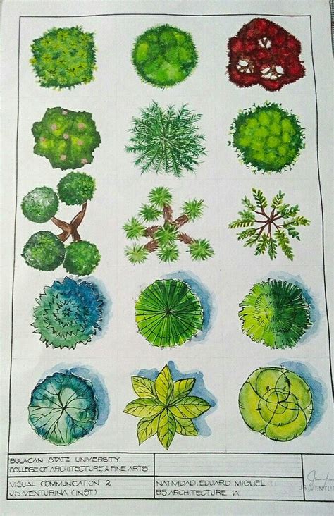 Plant Entourage