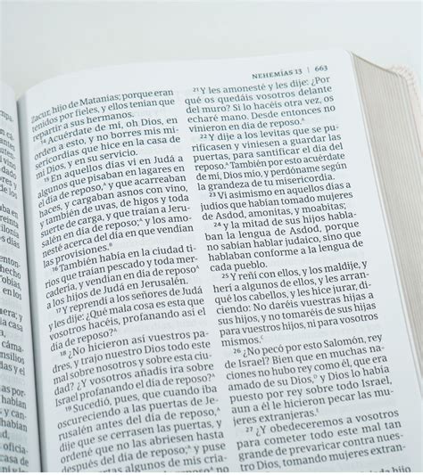 Biblia Letra Super Gigante RVR 1960 Con Referencias Piel Floreada