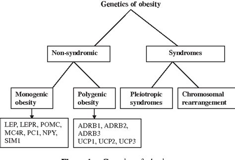 Figure 1 From Genetics Of Obesity Semantic Scholar