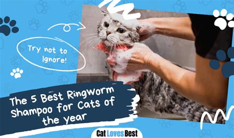 The 5 Best Ringworm Shampoo For Cats In 2023