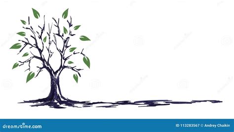 The Tree Sketch Stock Vector Illustration Of Leaves