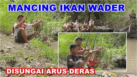 MANCING IKAN WADER Tarikan Ikan Wader Arus Deras MANTAP YouTube
