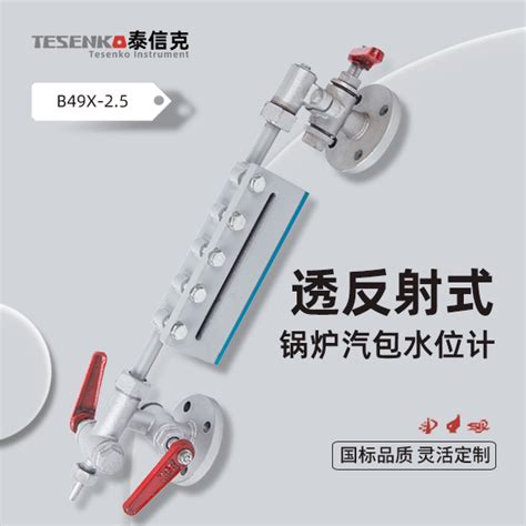 产品中心 电容式液位计 双色液位计 磁性液位计 河南泰信克仪表技术有限公司