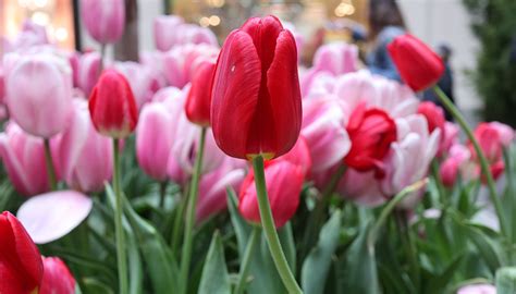 Data Scientists And Coding