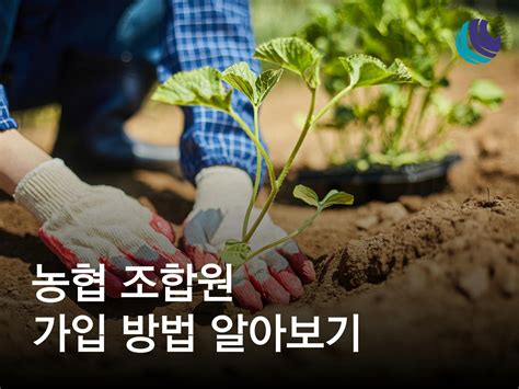 농협 조합원 가입 방법 알아보기 농사정보