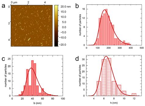 Dimensions Of Cellulose Nanocrystals From Cotton And Bacterial