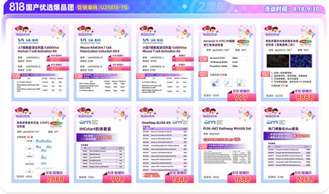 T 细胞激活：免疫应答的启动钥匙