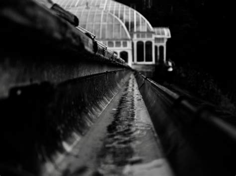 How To Prevent Your Gutters From Overflowing QRG101 Official Blog