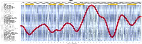 Hpgds Gene Genecards Hpgds Protein Hpgds Antibody