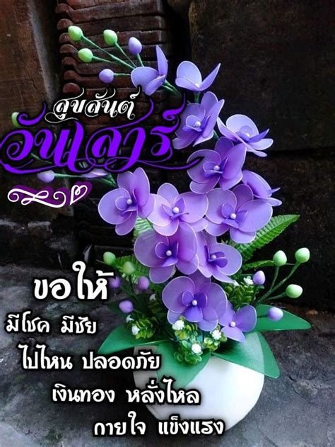 ปักพินโดย ออกเล ใน วันเสาร์ การถ่ายภาพดอกไม้ ดอกไม้สวย ธรรมชาติที่