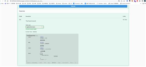 swagger Responses schema 显示问题 Issue 2199 midwayjs midway GitHub