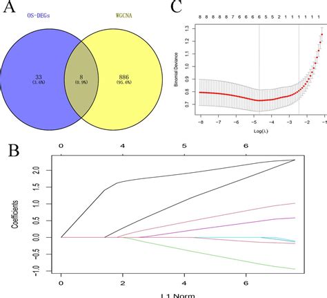 Machine Learning Based Identification Of Novel Hub Genes Associated With Oxidative Stress In