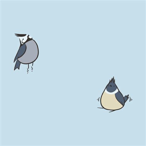 Bouncing Tits Cute Birds T Shirt Teepublic