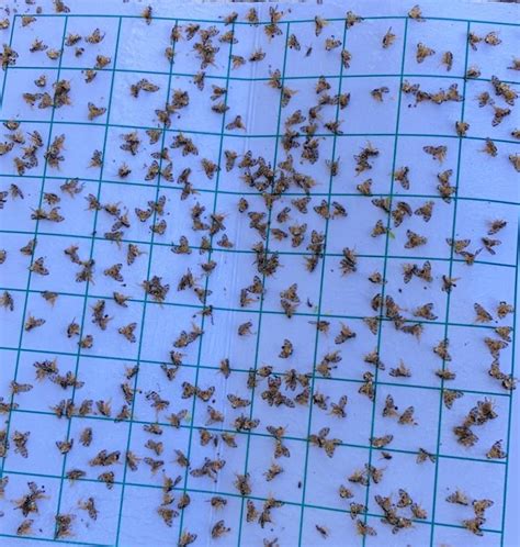 Ams Maskrcnn Object Detection Dataset And Pre Trained Model By Kerem