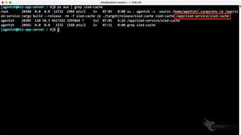 Pinpointing The Hottest Rust Code Paths With High Disk Io Using