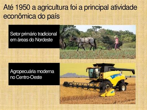 Agricultura No Brasil