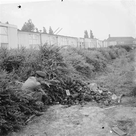 400 Rozenstruiken Verdwenen In Het Orionplantsoen Picryl Public