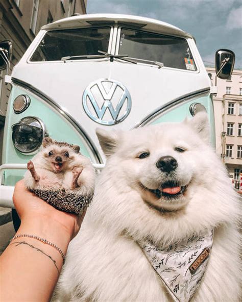 They Are So Photogenic 49 Pics