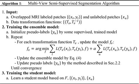 Multi View Semi Supervised Segmentation Algorithm Download Scientific