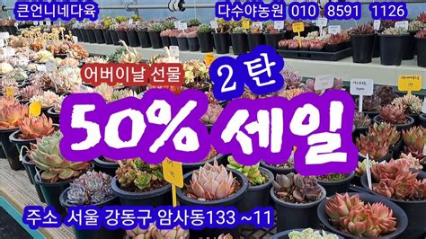 다수야농원 어버이날 기념 50세일 득탬의 기회입니다 Youtube