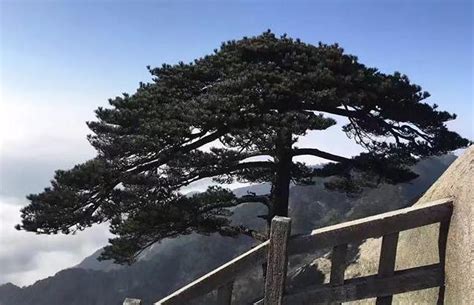 安徽十大名山 安徽名山排名 安徽最有名的山峰