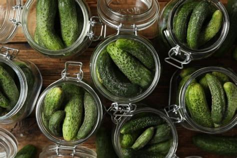 What Is Pickle Salt Handy Cookbook