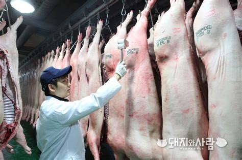 제11회 대학생 축산물품질평가대회 참가자 모집