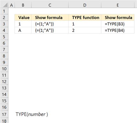 How To Use The Type Function