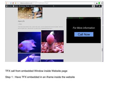 Tfx Webrtc Saas Software As A Service Telecom R And D