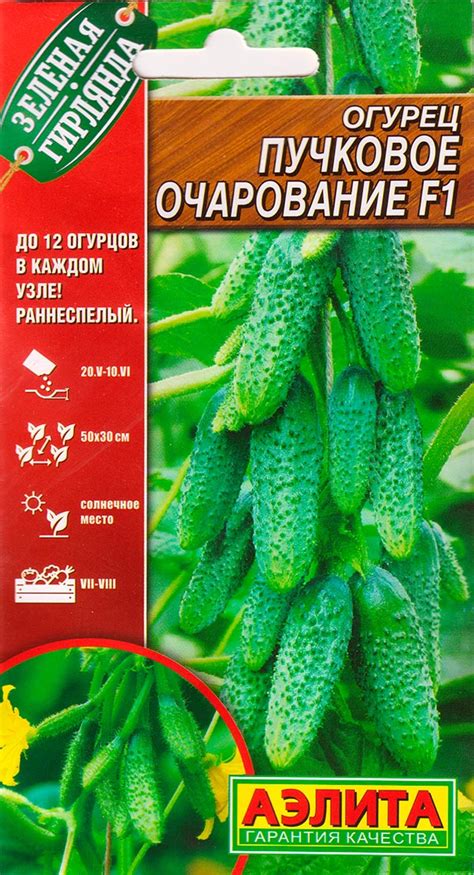 Купить Огурец "Аэлита" Пучковое очарование F1 10 сем в Онсад.ру с ...
