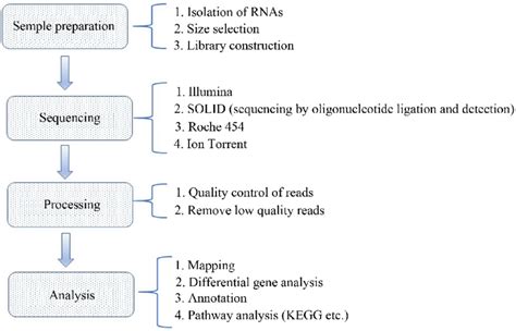 Rna Seq Analysis Workflow Download Scientific Diagram